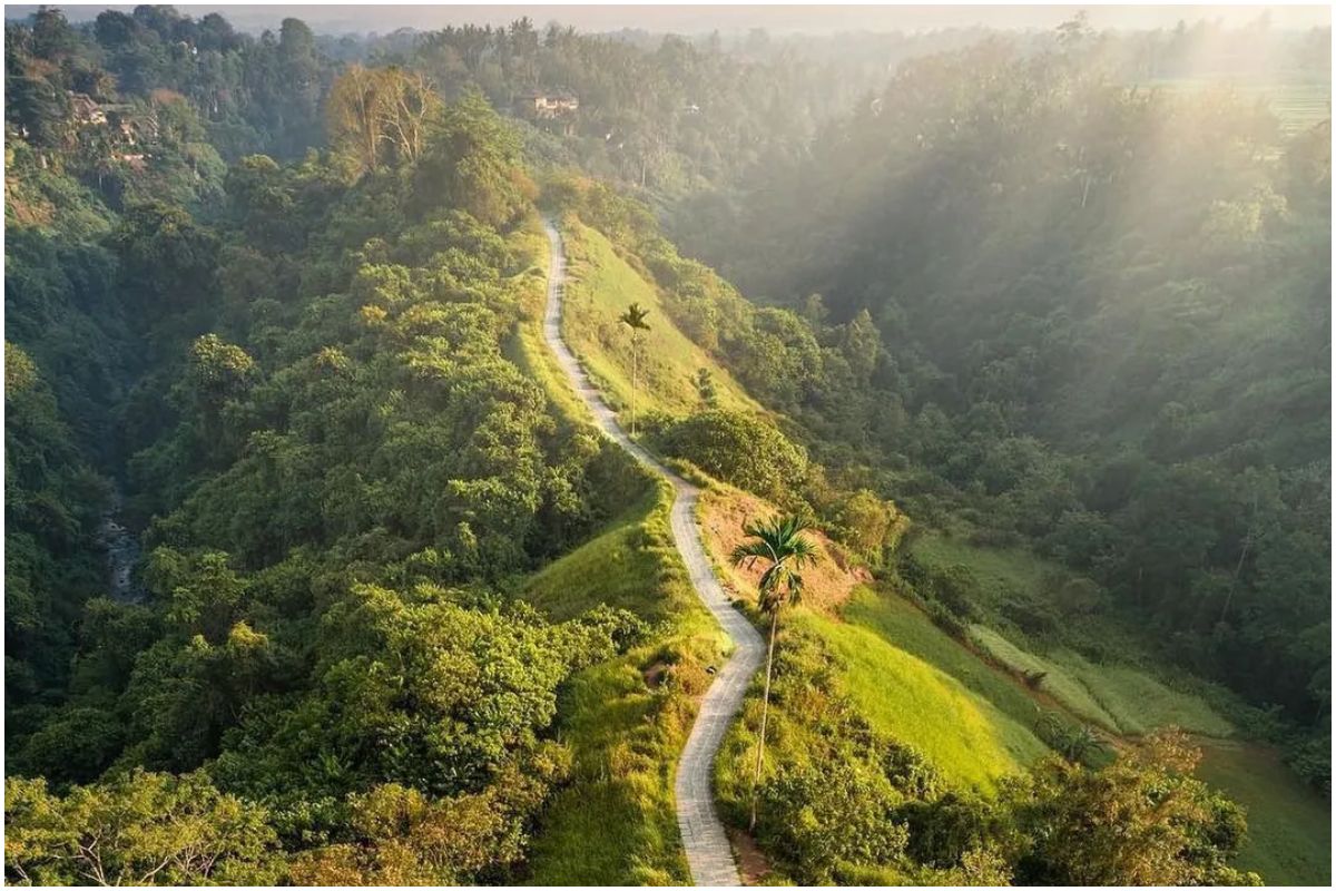 A Guide to Exploring Campuhan Ridge Walk Ubud: Best Hike for Beginners